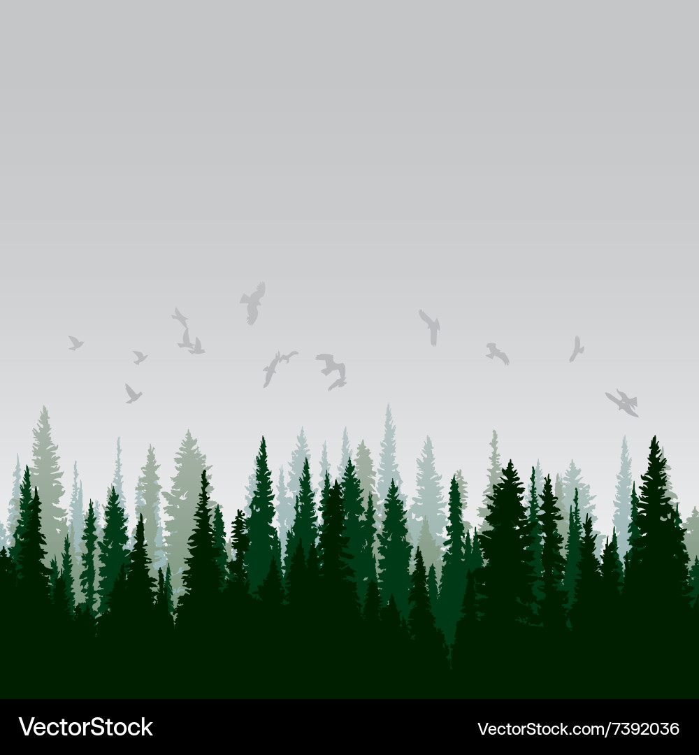 Panorama of wild coniferous forest Royalty Free Vector Image
