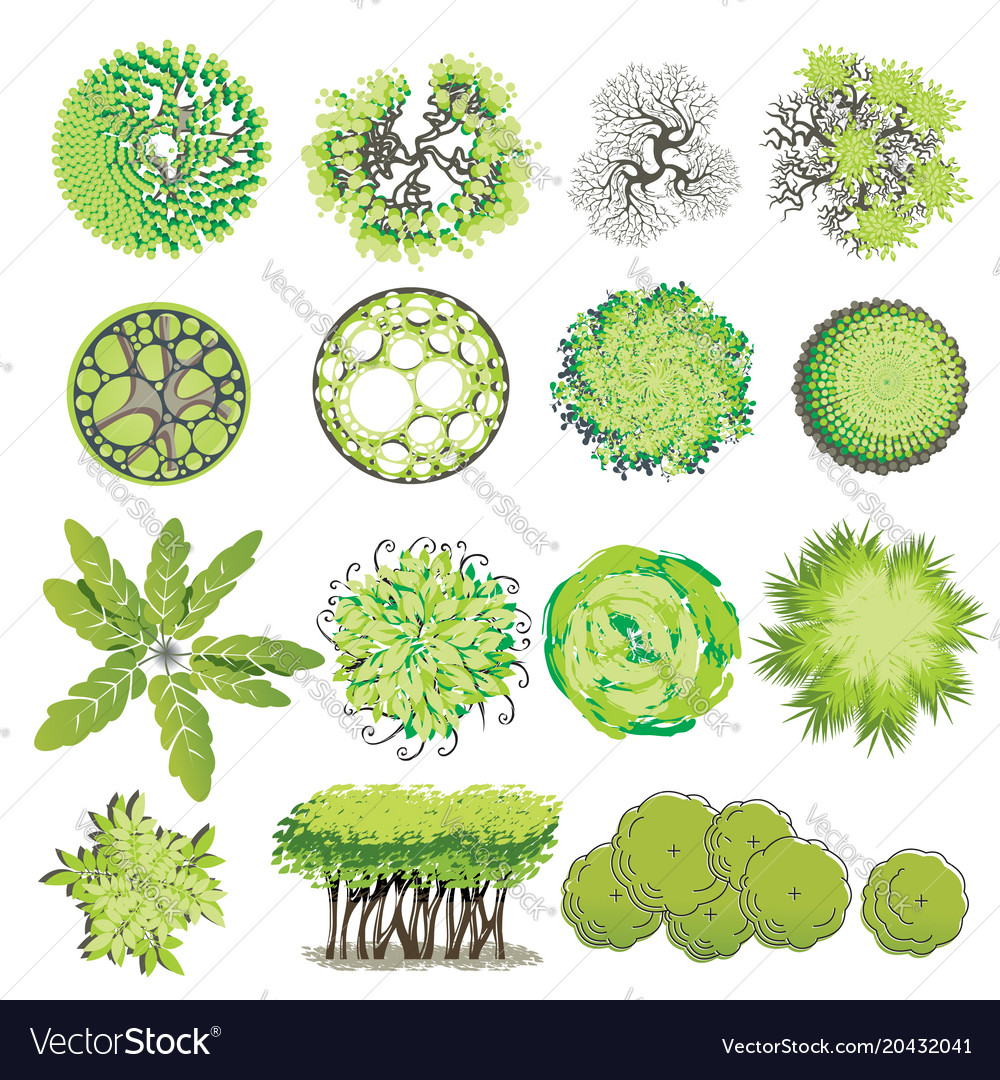 Different plants and trees set for architectural Vector Image