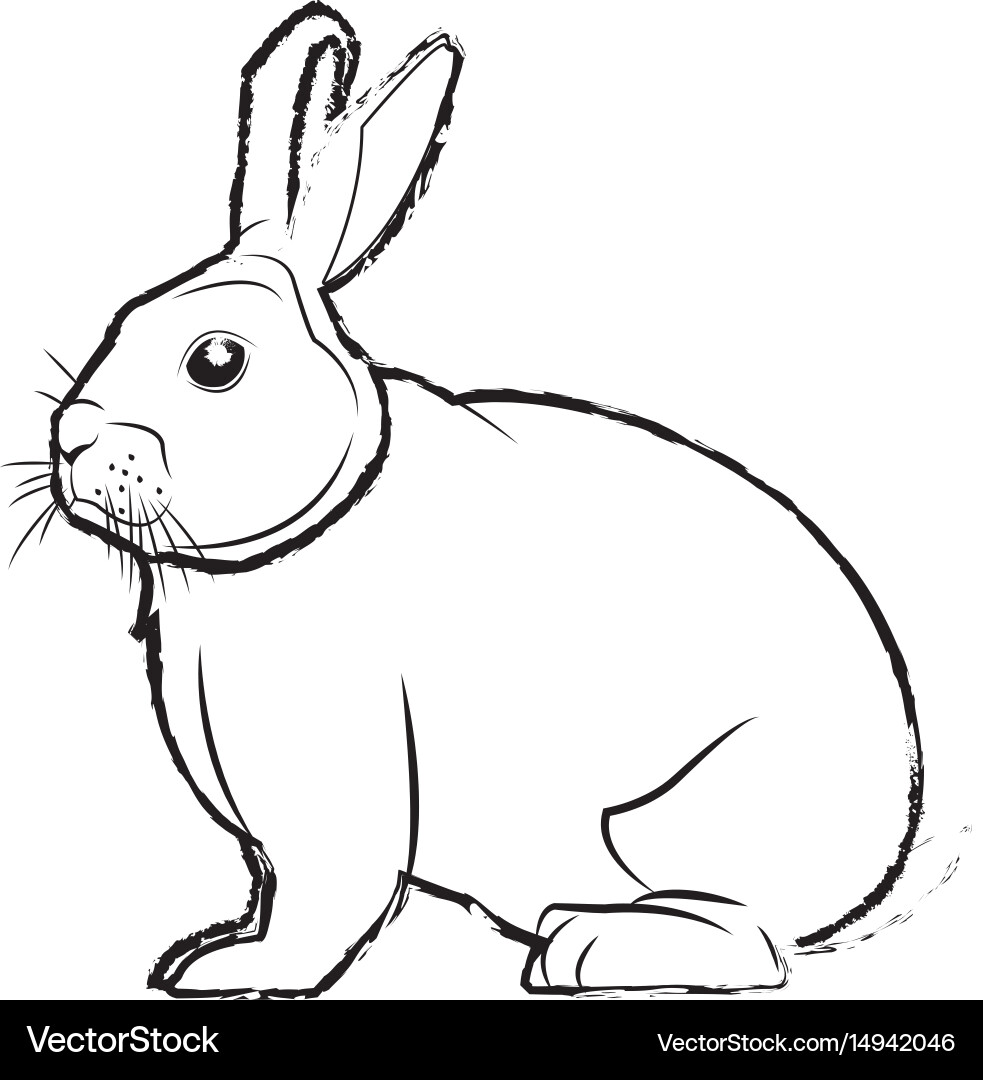 Wild rabbit nature rodent farm image Royalty Free Vector