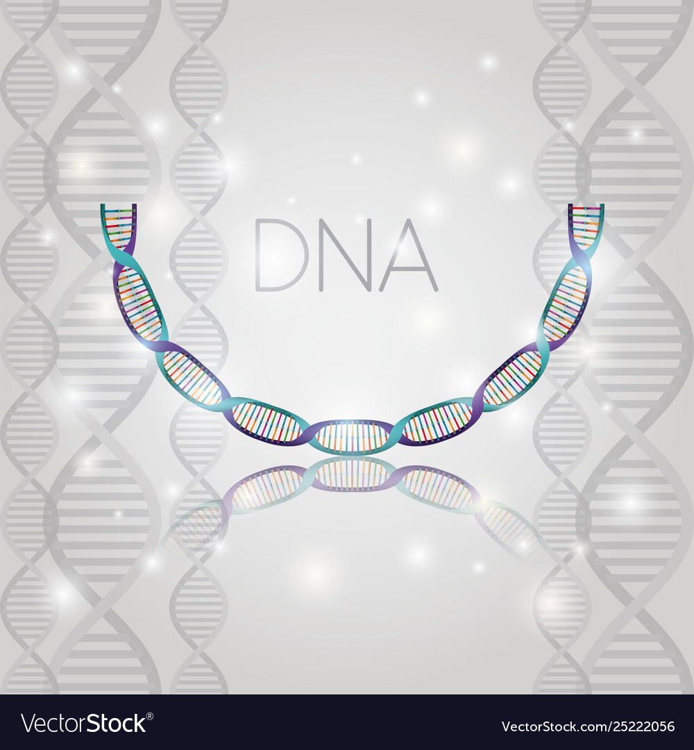 Dna molecule half circle structure pattern Vector Image