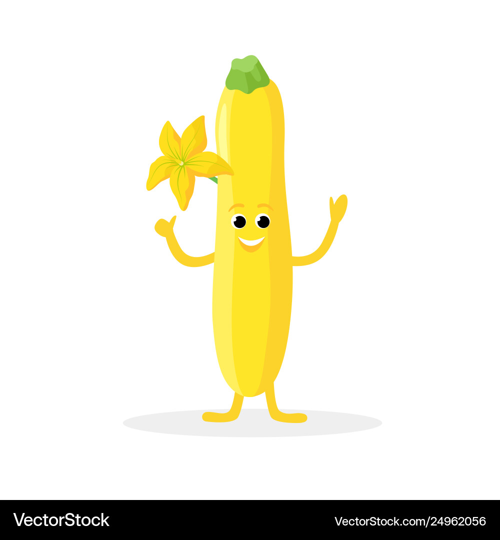 Zucchini cartoon character isolated on white Vector Image