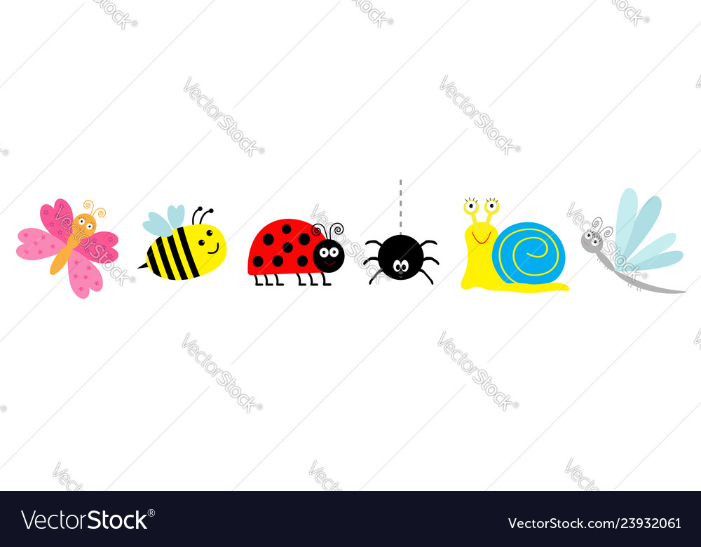 Ladybug ladybird bee dragonfly butterfly spider Vector Image