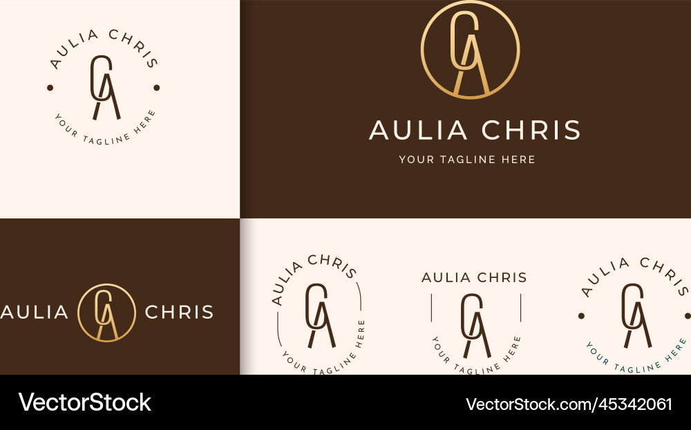 Luxury letter a and c monogram logo design Vector Image