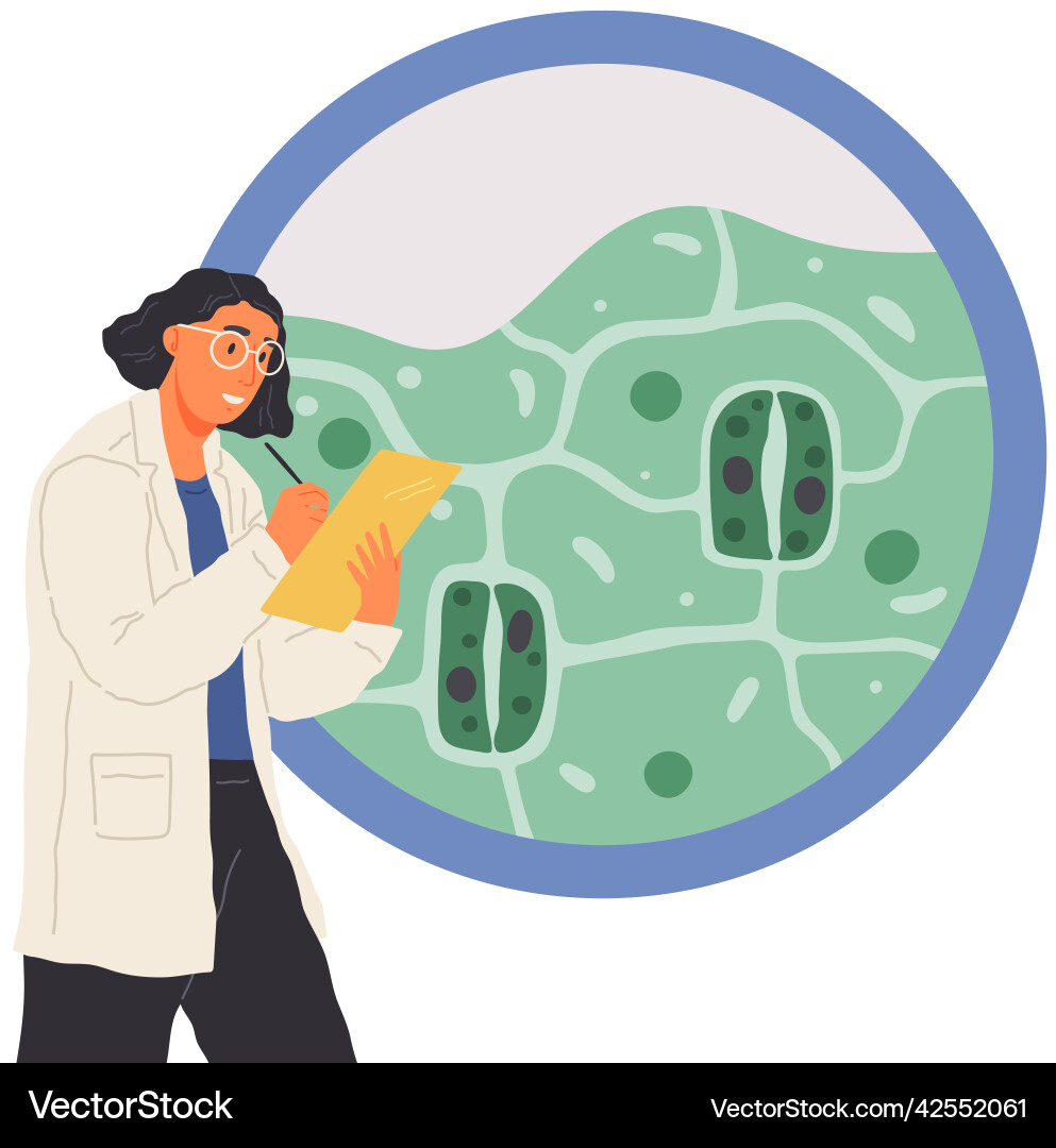 Scientist conducts analysis of life system Vector Image