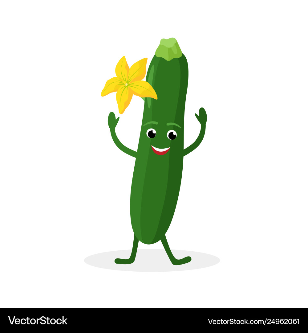 Zucchini cartoon character isolated on white Vector Image