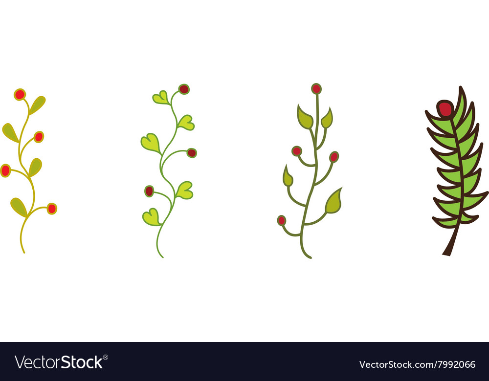 Branch elements Royalty Free Vector Image - VectorStock