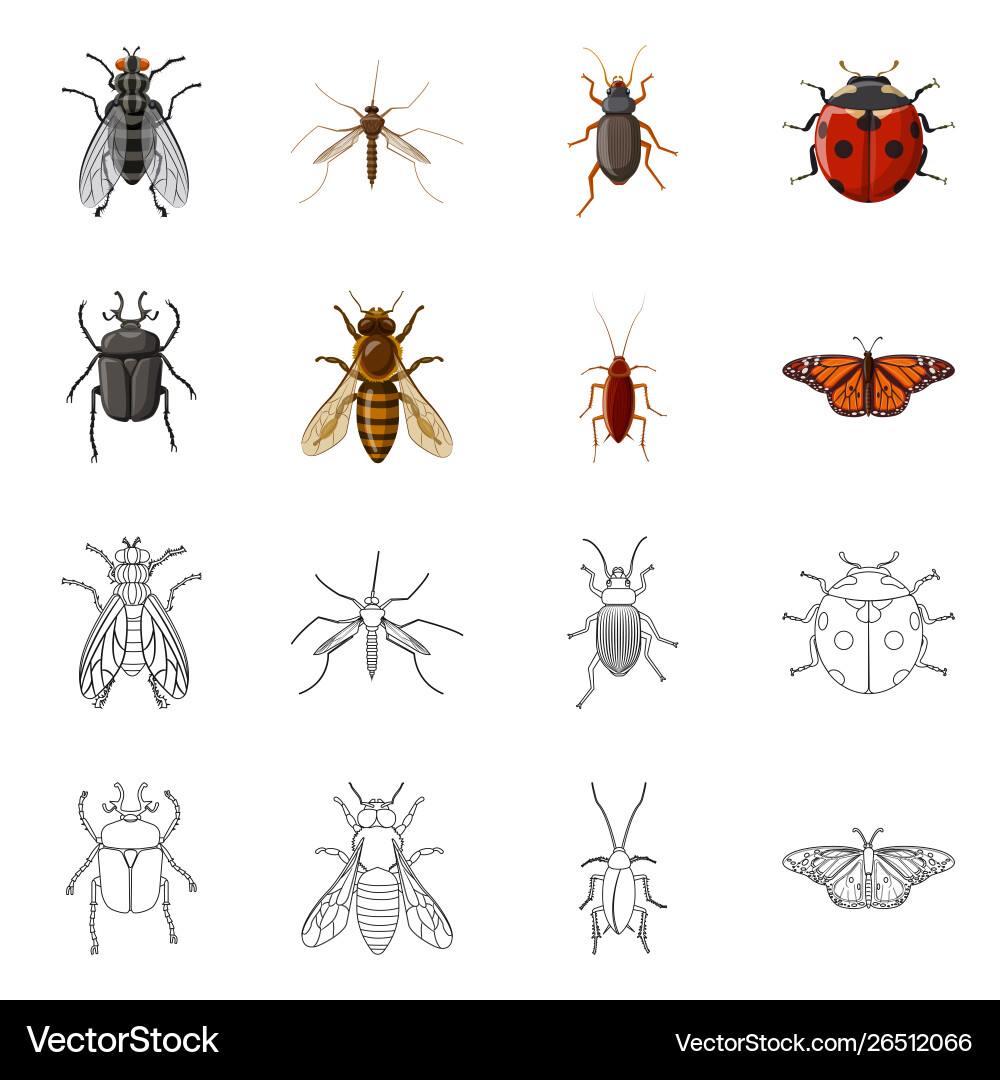 Design insect and fly sign collection Royalty Free Vector