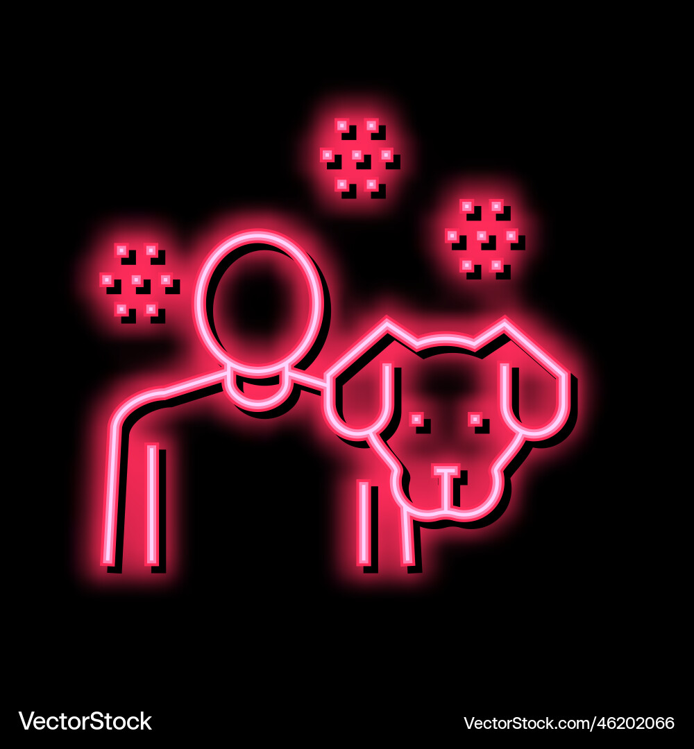 Dog owner neon glow icon Royalty Free Vector Image