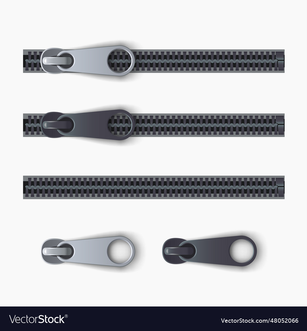 Realistic zipper set isolated on white back Vector Image