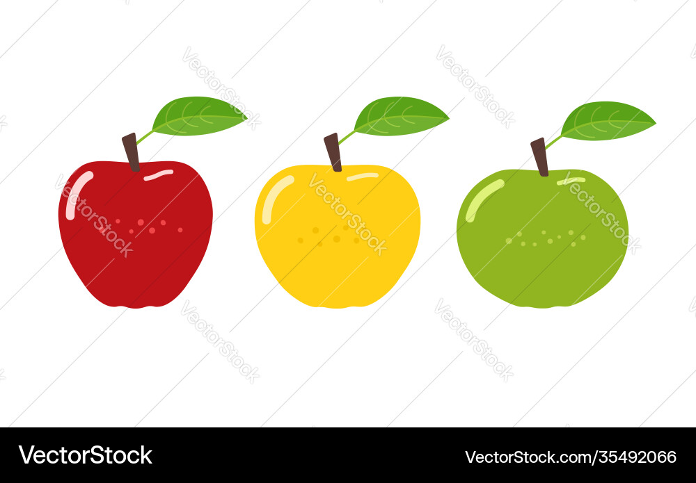 Varieties apples colors as traffic lights Vector Image