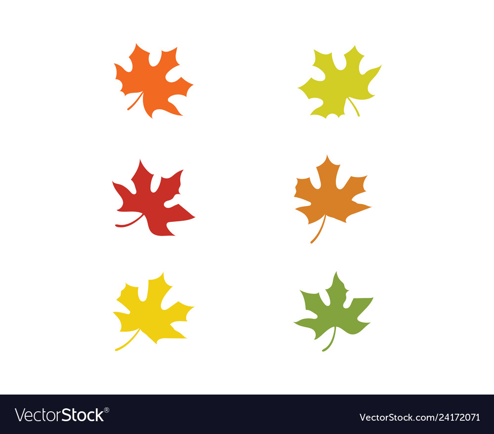 Maple leaf Royalty Free Vector Image - VectorStock
