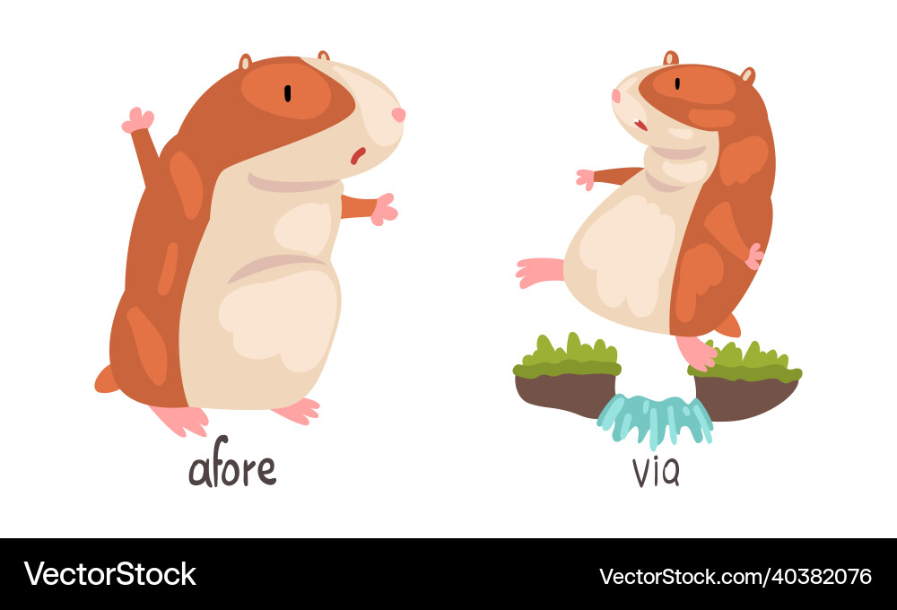 Cute hamster demonstrating english language Vector Image
