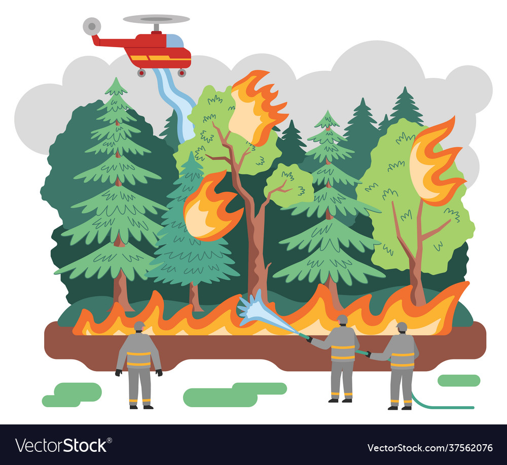 Fire in forest flat trees Royalty Free Vector Image