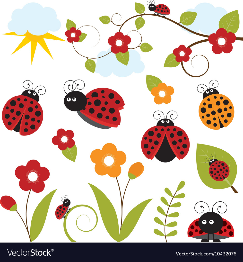 Ladybug set Royalty Free Vector Image - VectorStock