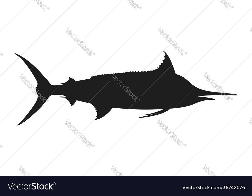Marlin Royalty Free Vector Image - VectorStock
