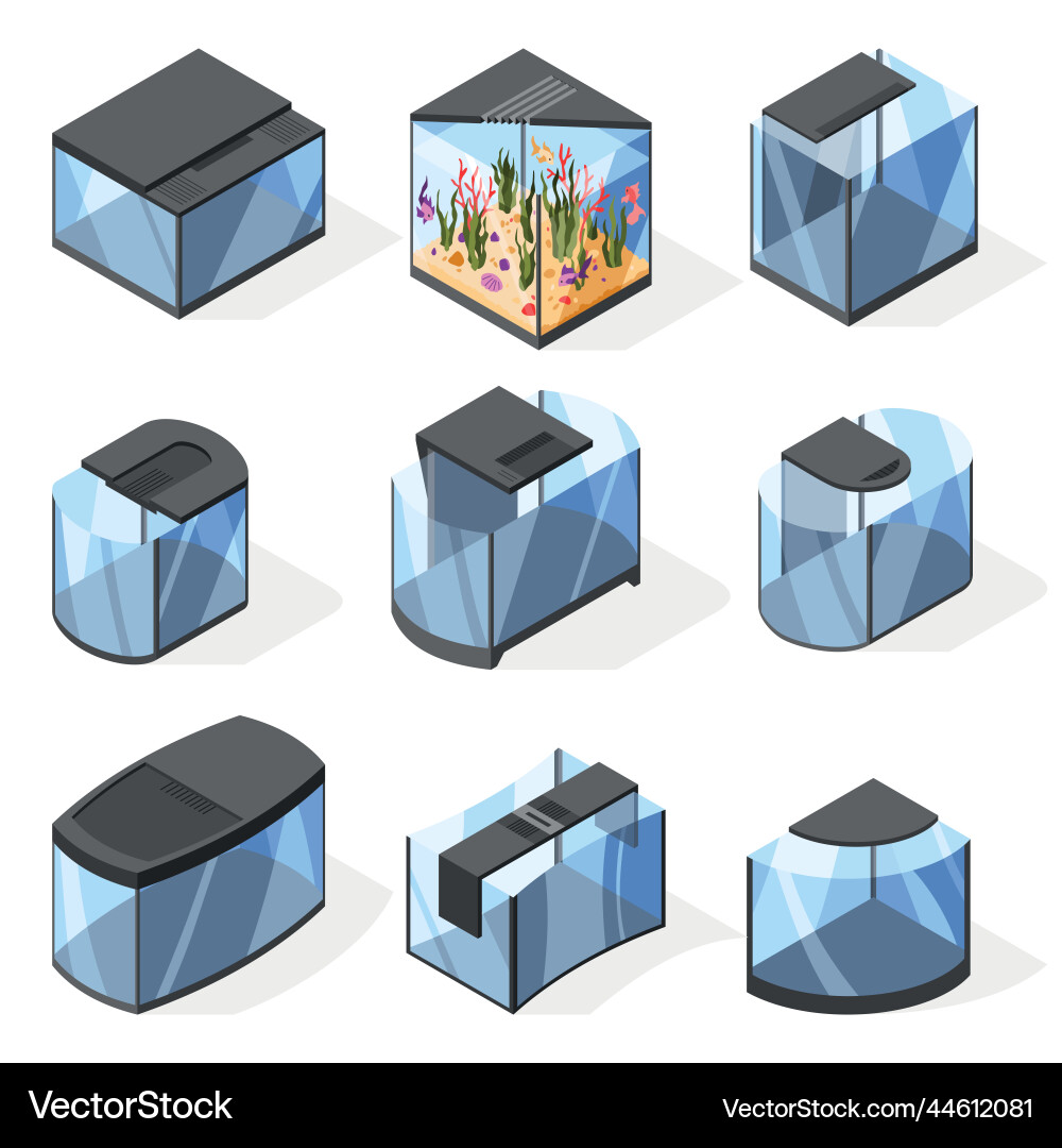 Isometric aquarium in modern minimalistic style Vector Image