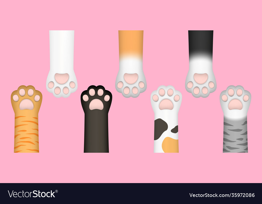 3d realistic multi-colored cat paws legs dog paws Vector Image 3d realistic multi-colored cat paws legs dog paws Vector Image