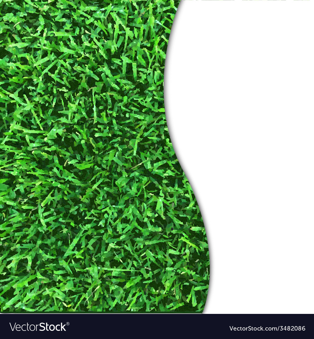 Grass texture poster Royalty Free Vector Image