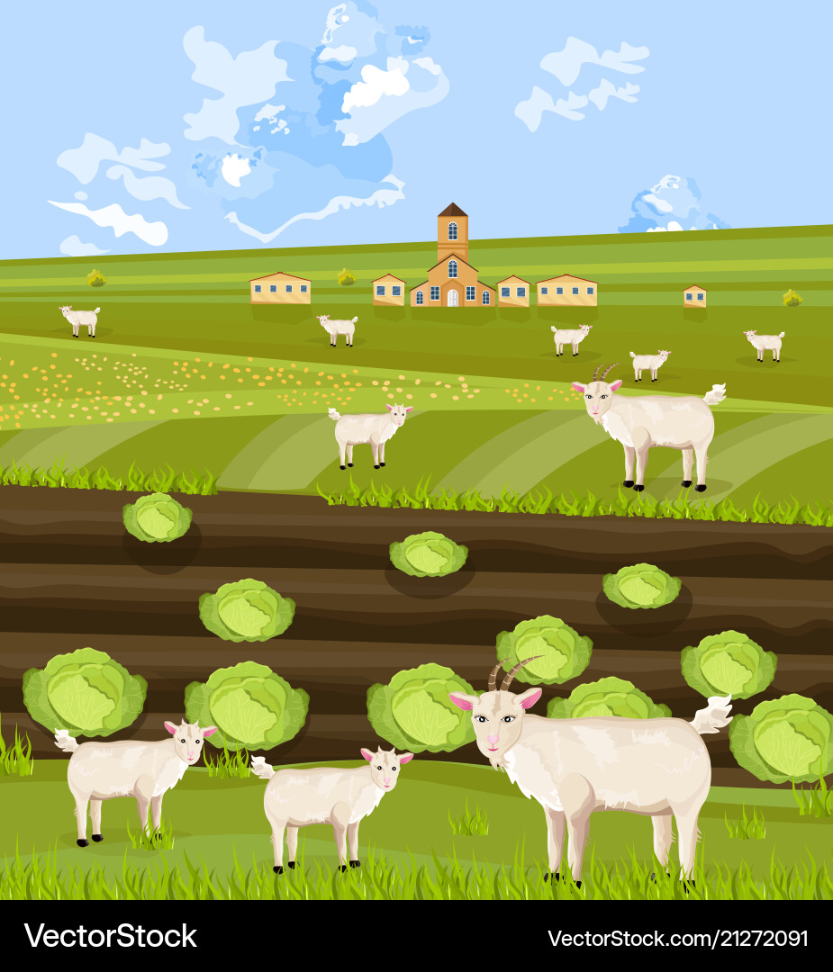 Goats at farm green summer backgrounds Royalty Free Vector