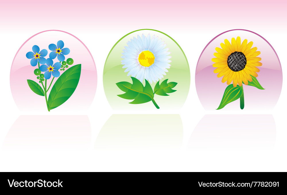 Set of three flower icons Royalty Free Vector Image