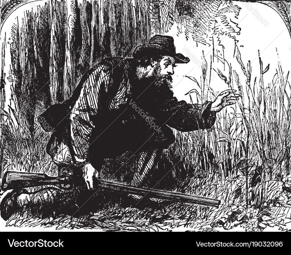 Robinson discovers the barley growing vintage Vector Image