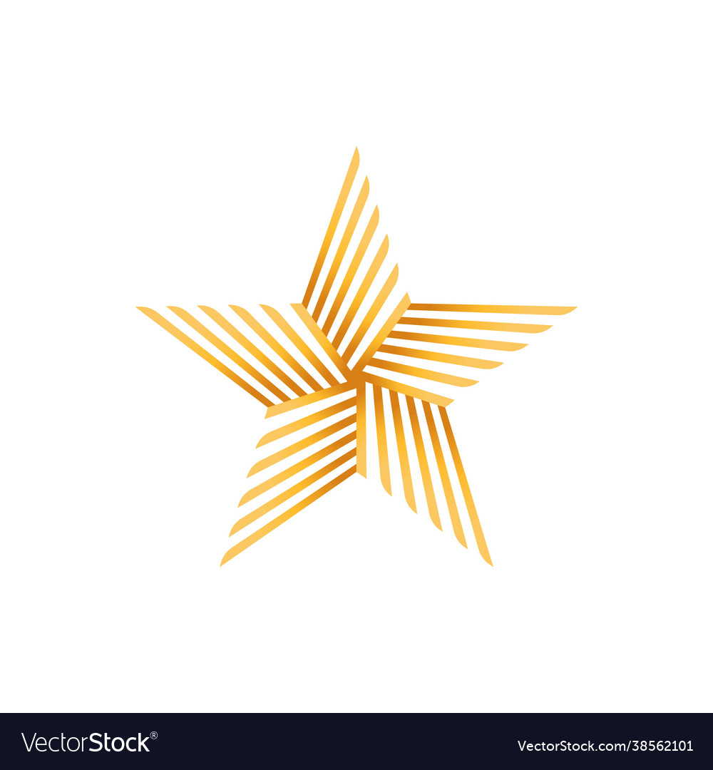Abstract star logo icon design template simple Vector Image