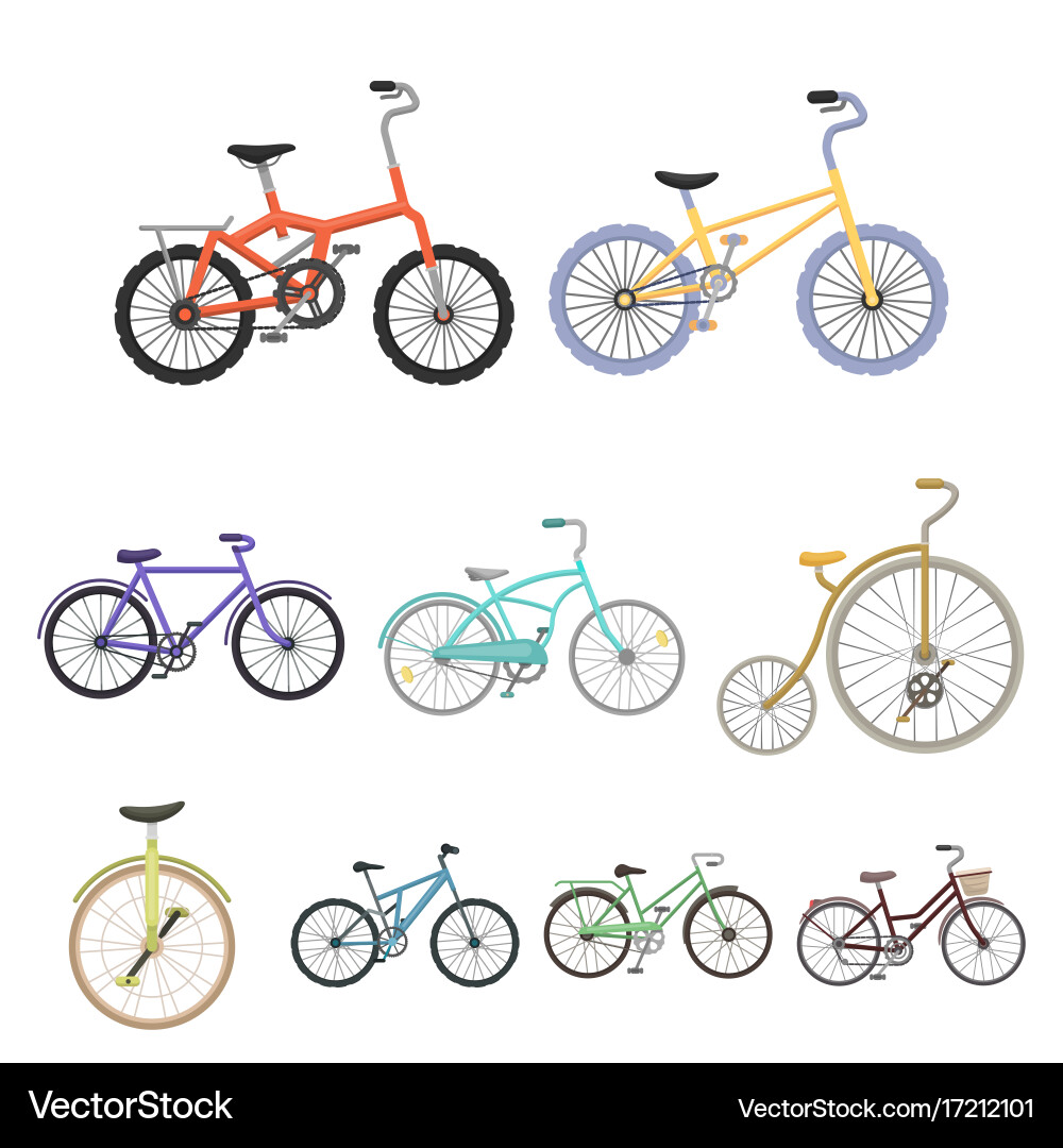Collection bikes with different wheels and Vector Image