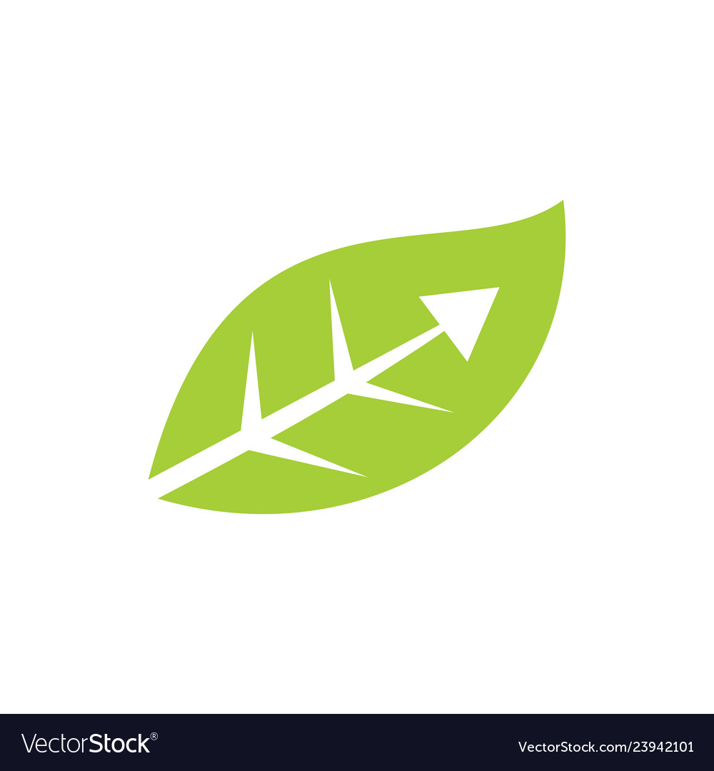 Leaf logo design template isolated Royalty Free Vector Image
