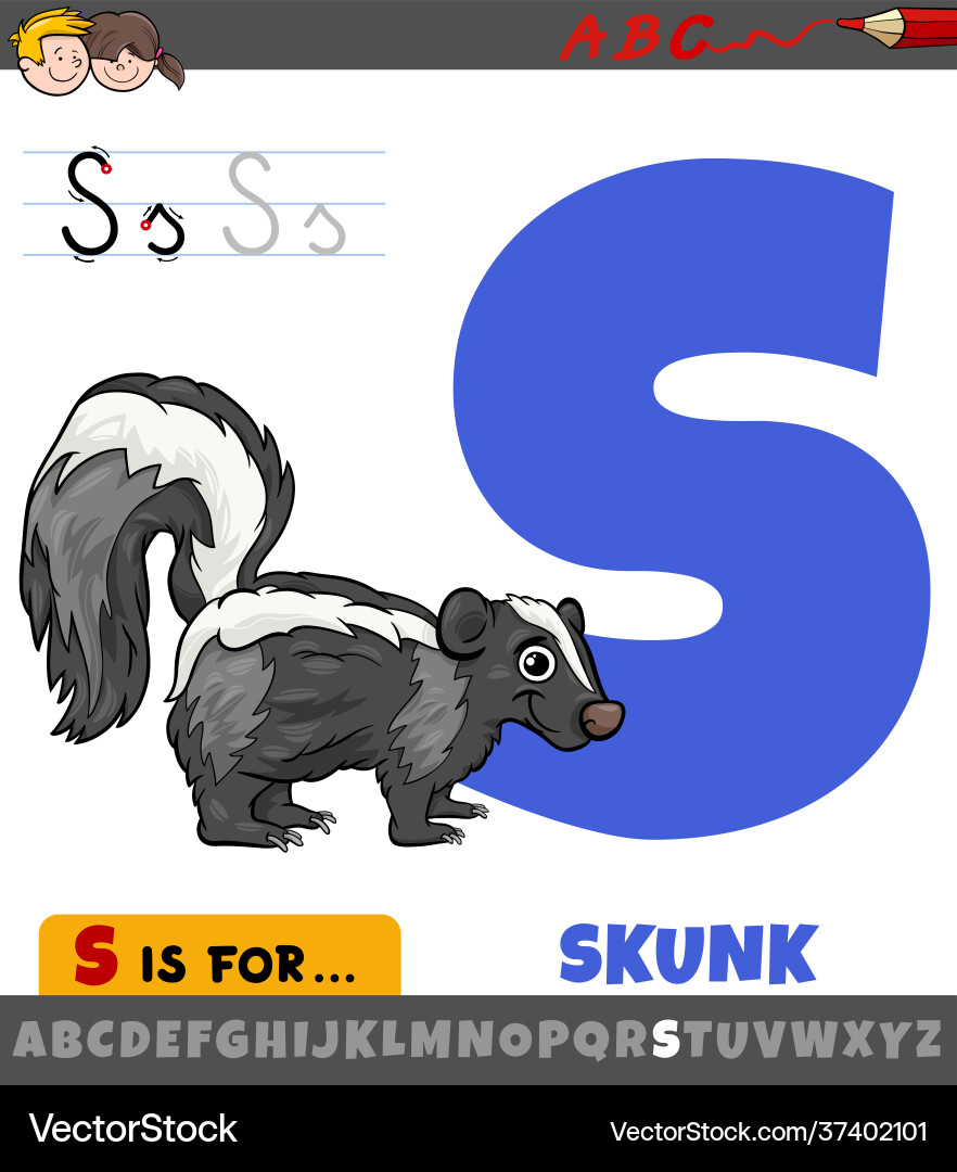 Letter s worksheet with cartoon skunk animal Vector Image
