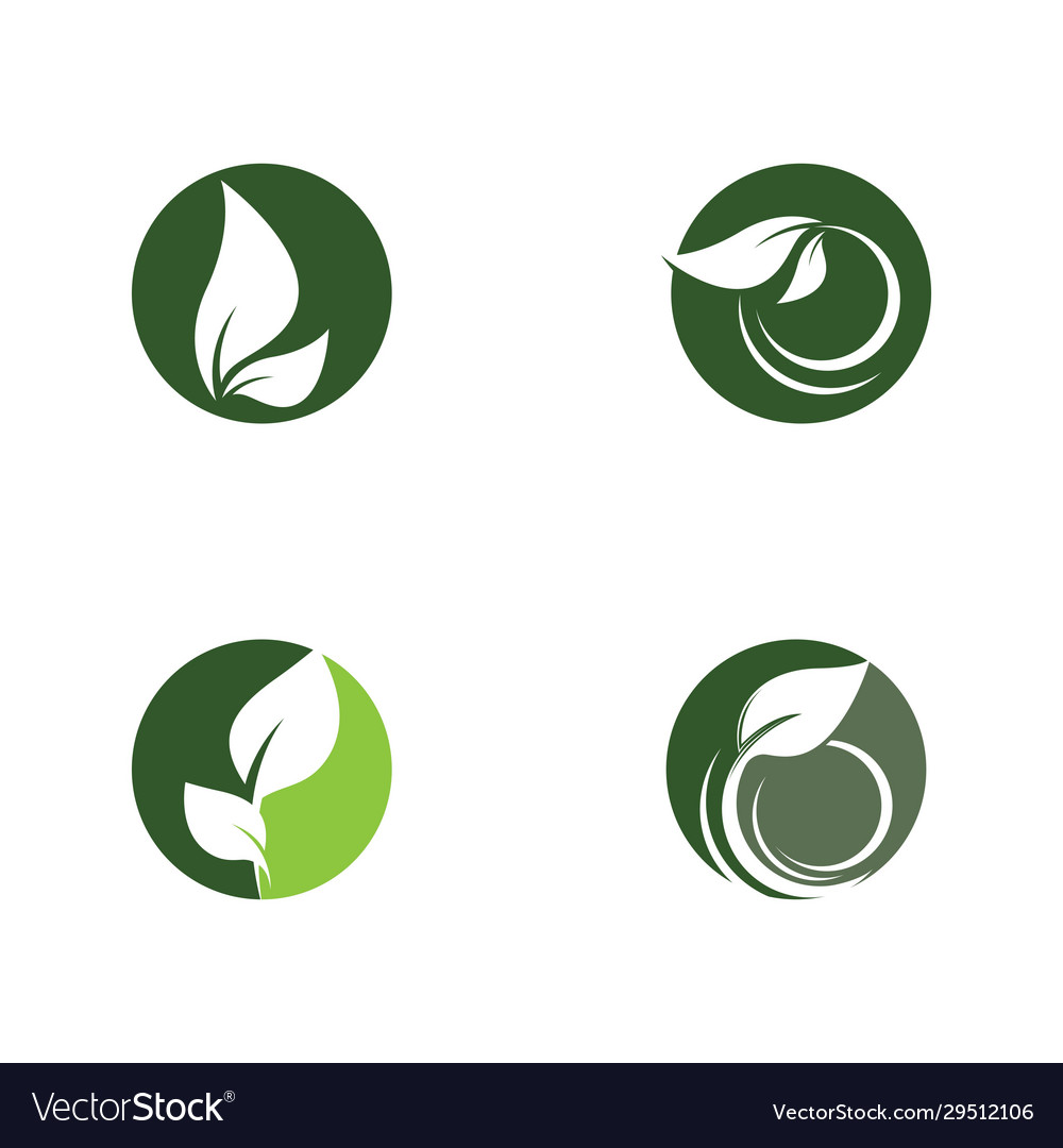 Leaf logo template icon Royalty Free Vector Image