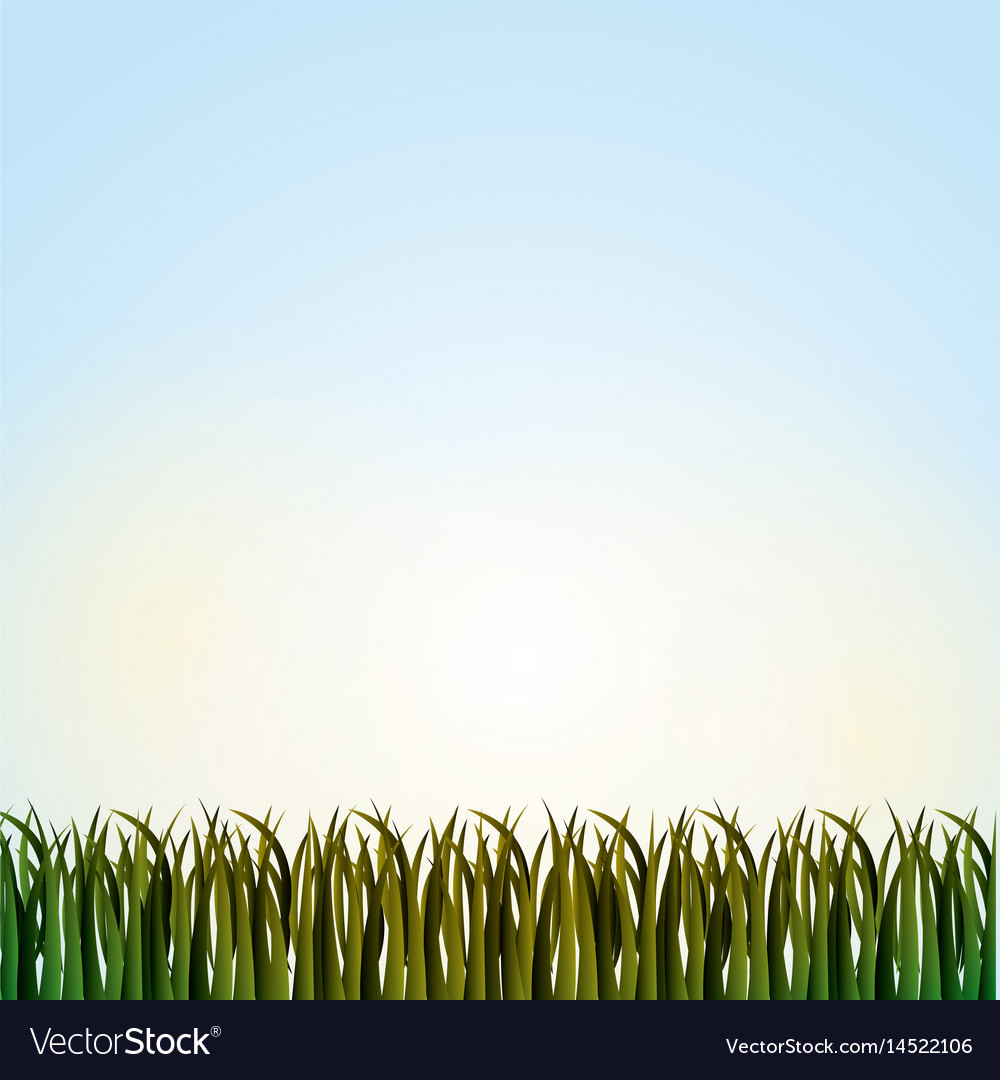Nature grass field background Royalty Free Vector Image