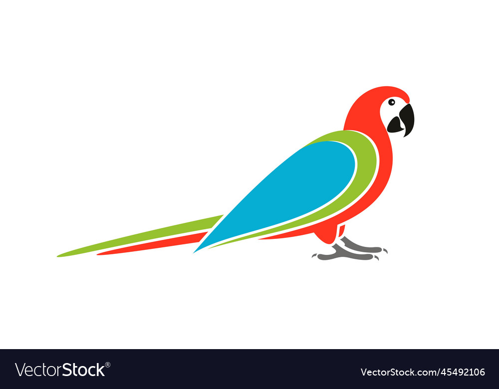 Parrot macaw Royalty Free Vector Image - VectorStock