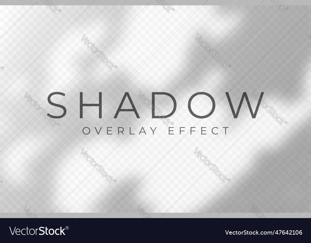Shadow overlay effect transparent soft light Vector Image
