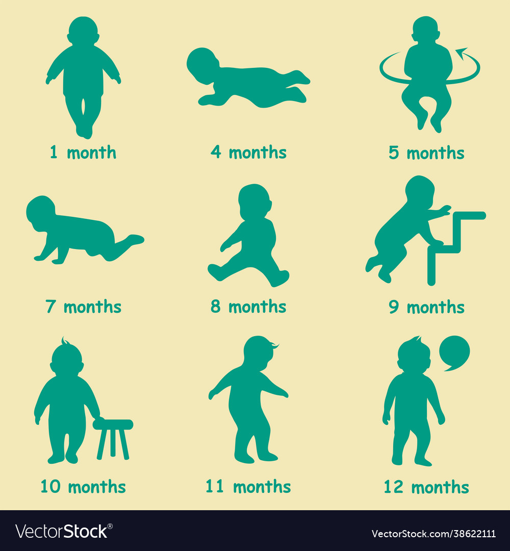 Baby development icon Royalty Free Vector Image