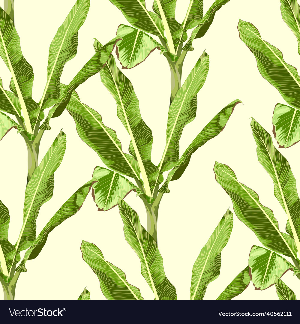 Bananas tree seamless floral pattern Royalty Free Vector