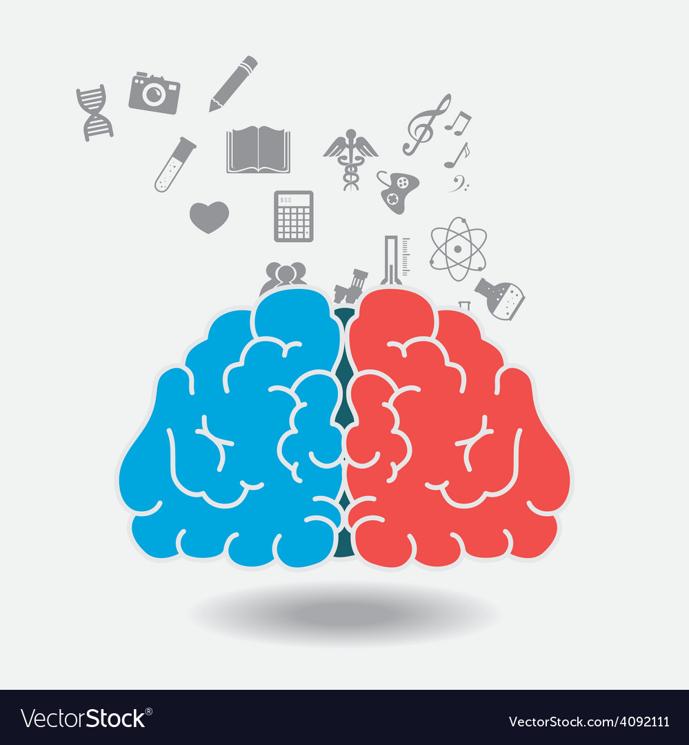 Brain design Royalty Free Vector Image - VectorStock