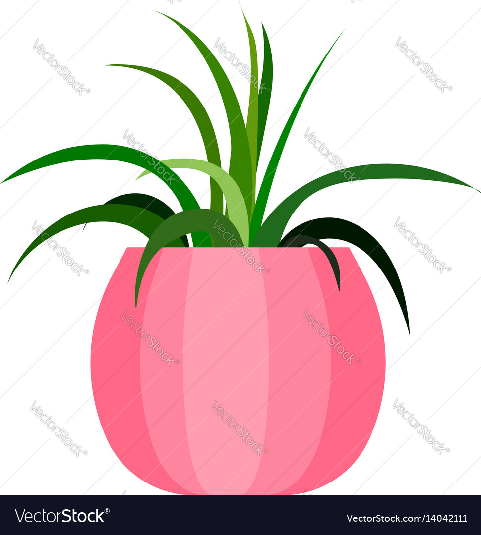 Green House Plant In Pot Leaf Flower Flat Vector Image