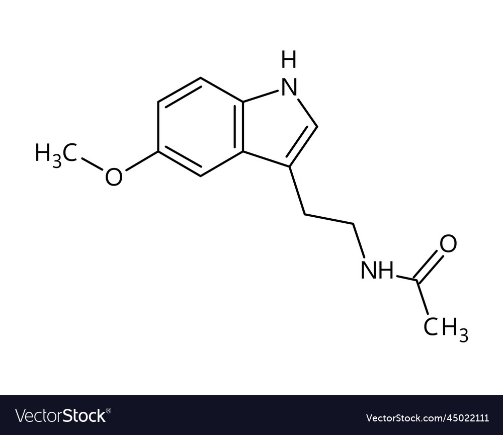 Melatonin structural formula of molecular Vector Image