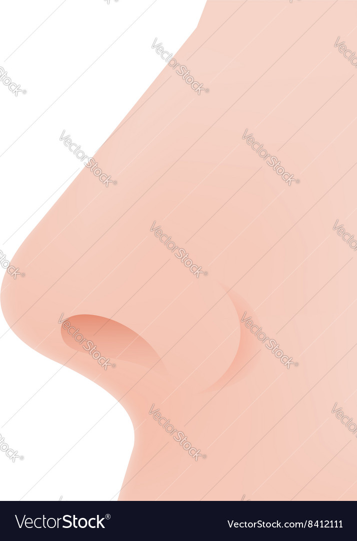 Nose icon Royalty Free Vector Image - VectorStock