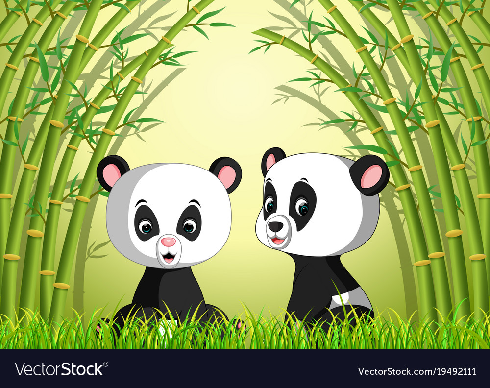 Pandas In Bamboo Forests