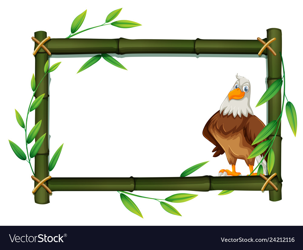 An eagle on bamboo border Royalty Free Vector Image