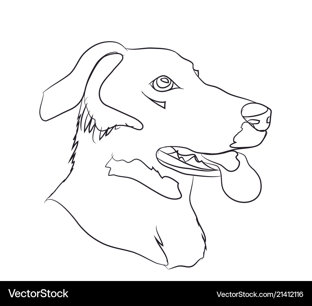 Dog portrait lines Royalty Free Vector Image - VectorStock