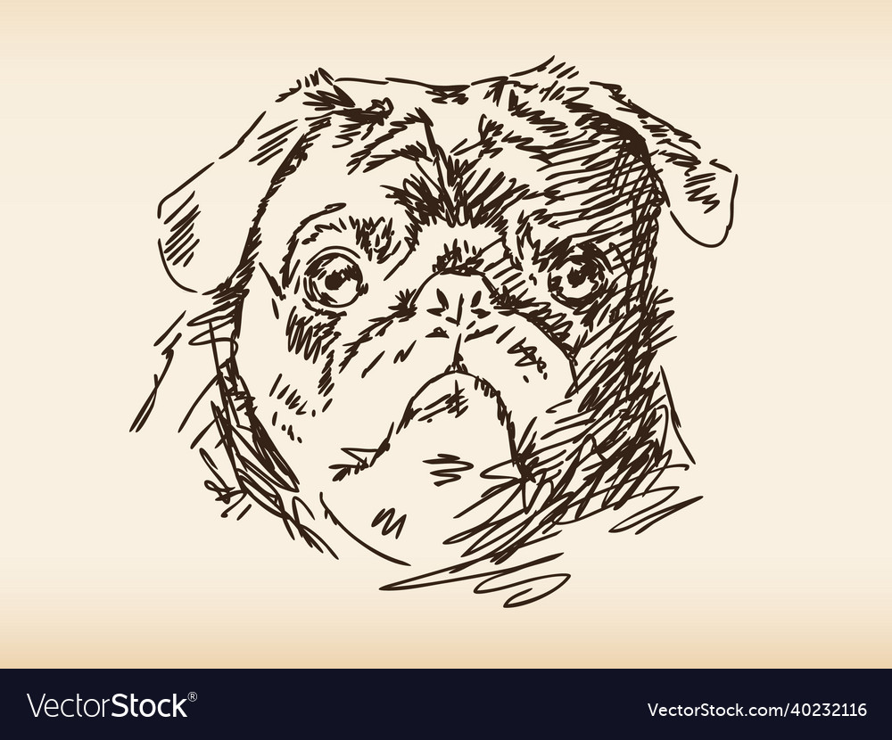 Hand drawn dog Royalty Free Vector Image - VectorStock