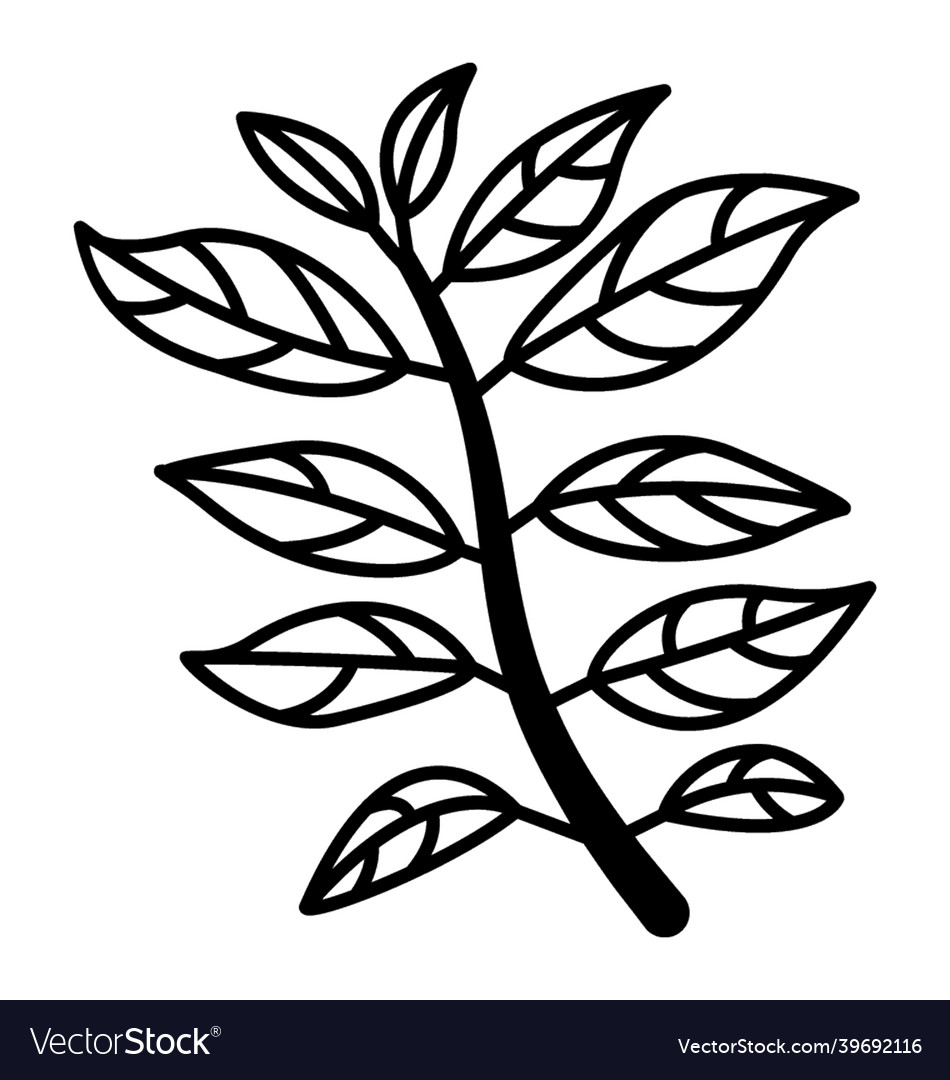 Tree branch Royalty Free Vector Image - VectorStock