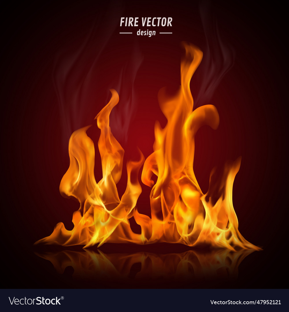 Burning fire in orange tone Royalty Free Vector Image