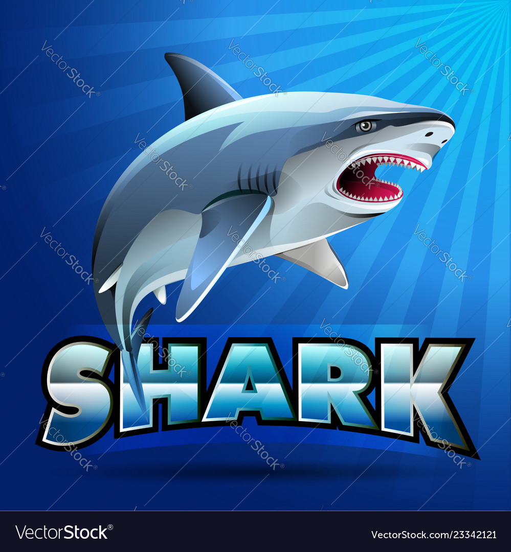 Shark Royalty Free Vector Image - VectorStock