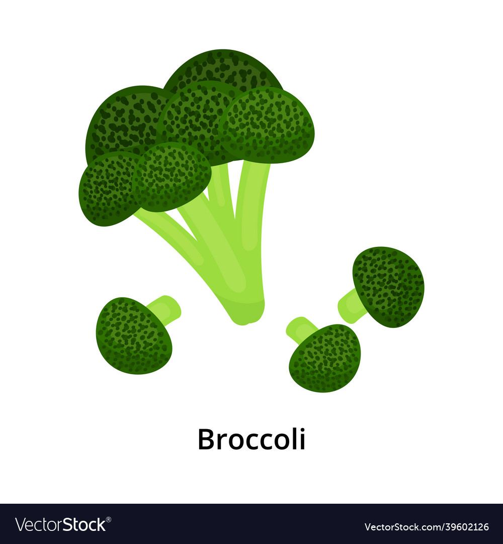 Cartoon broccoli Royalty Free Vector Image - VectorStock