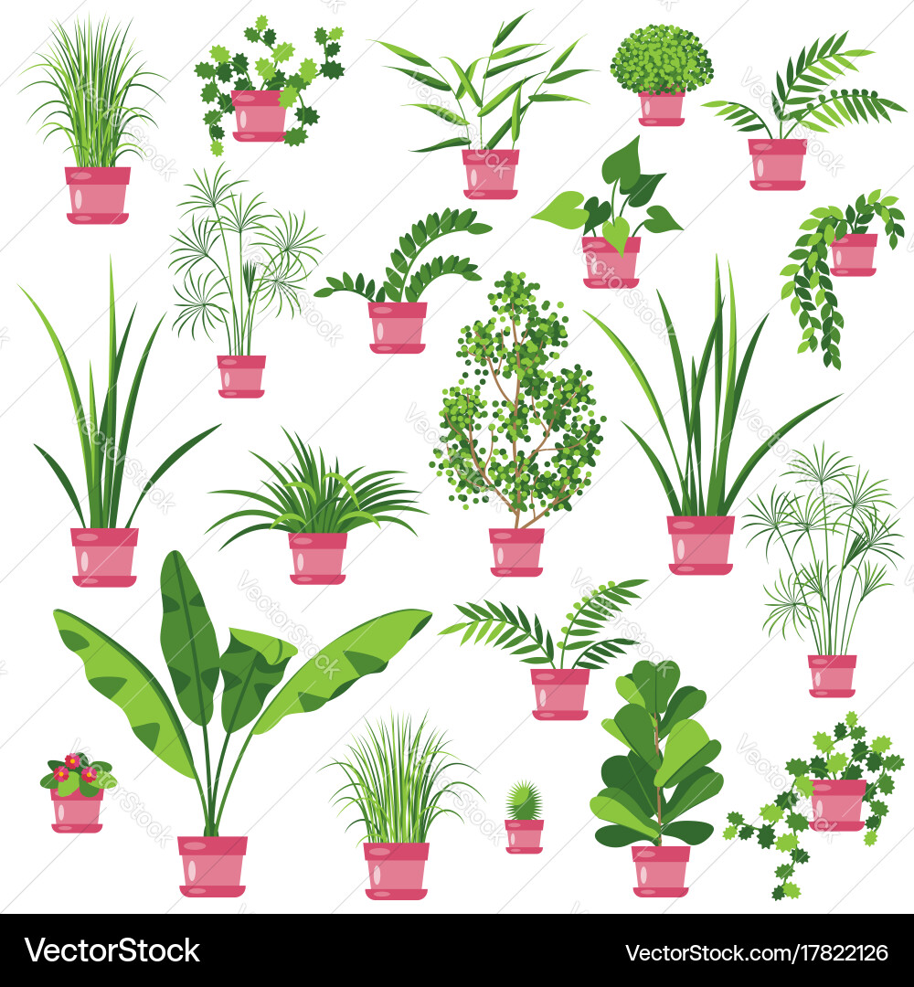 Flat pot plants set Royalty Free Vector Image - VectorStock