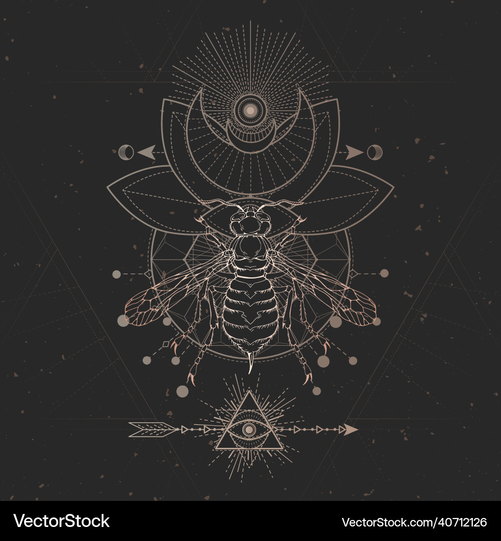 With hand drawn wasp and sacred geometric symbol Vector Image