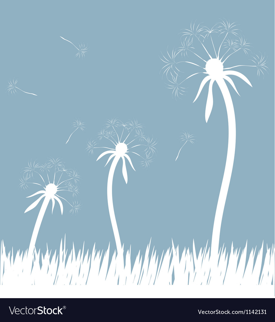 Dandelions Royalty Free Vector Image - VectorStock